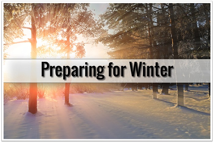 Preparing for Winter with Supplies and Backup Power